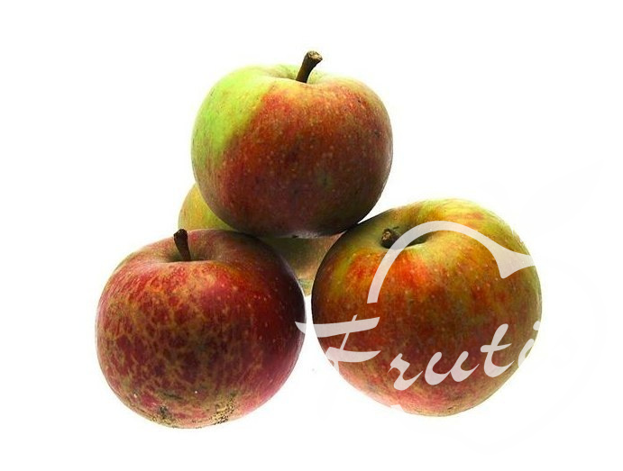 FRUTIS - świeże warzywa i owoce z dostawą, Warszawa i okolice > Jabłko ...